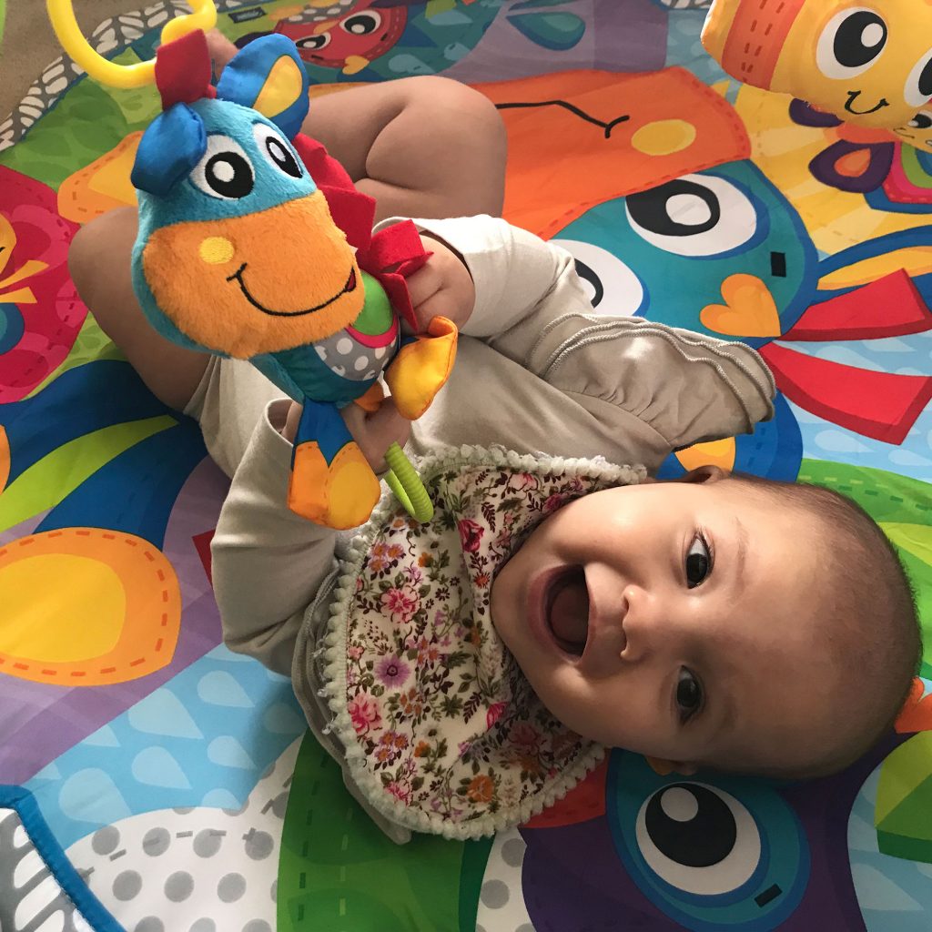 Clip Clop Musical Activity Gym – Playgro International