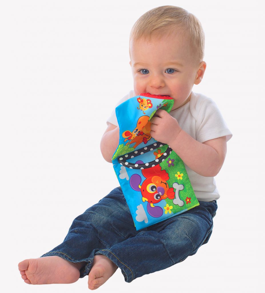 Picnic Pals Teether Book – Playgro International