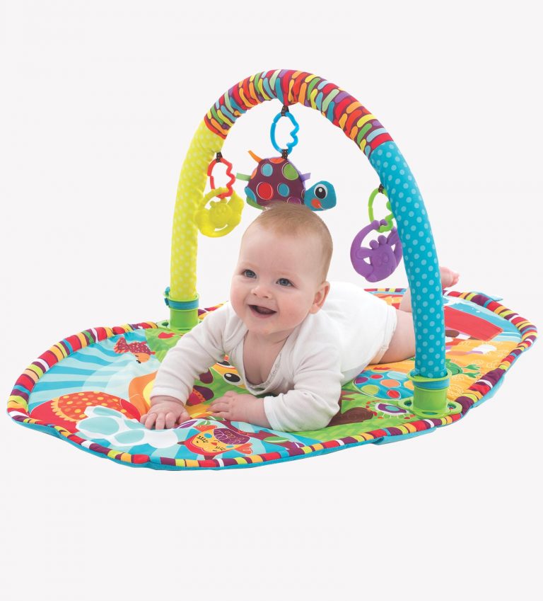 Play in the Park Activity Gym – Playgro International