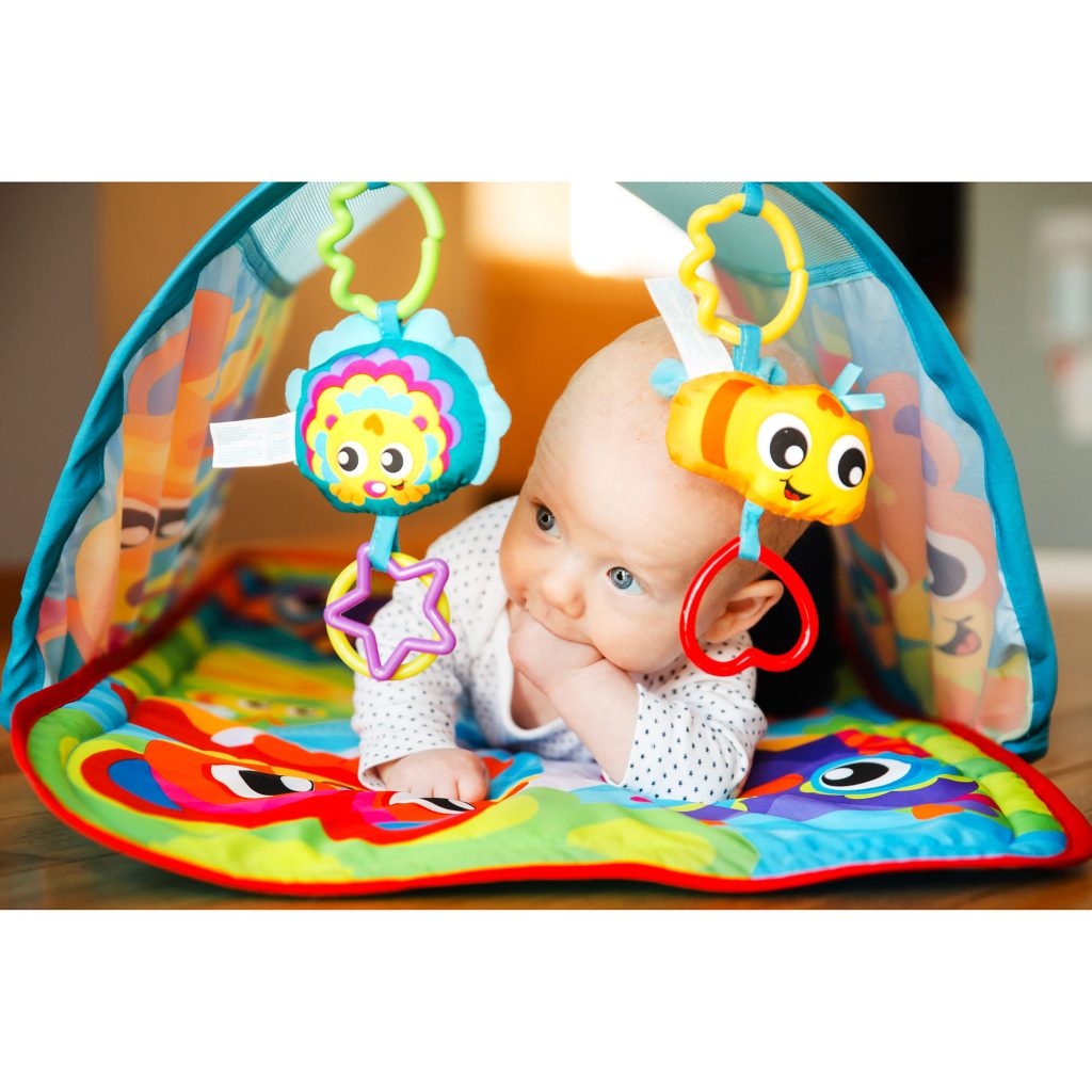 Honey Bee Bear Activity Tunnel Gym – Playgro International