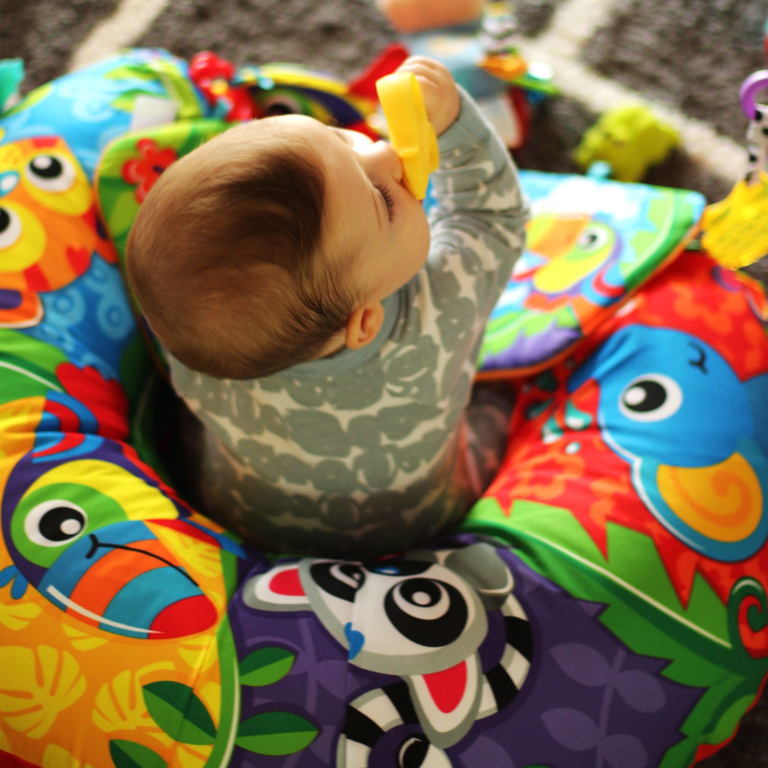 Sit Up and Play Activity Nest – Playgro International