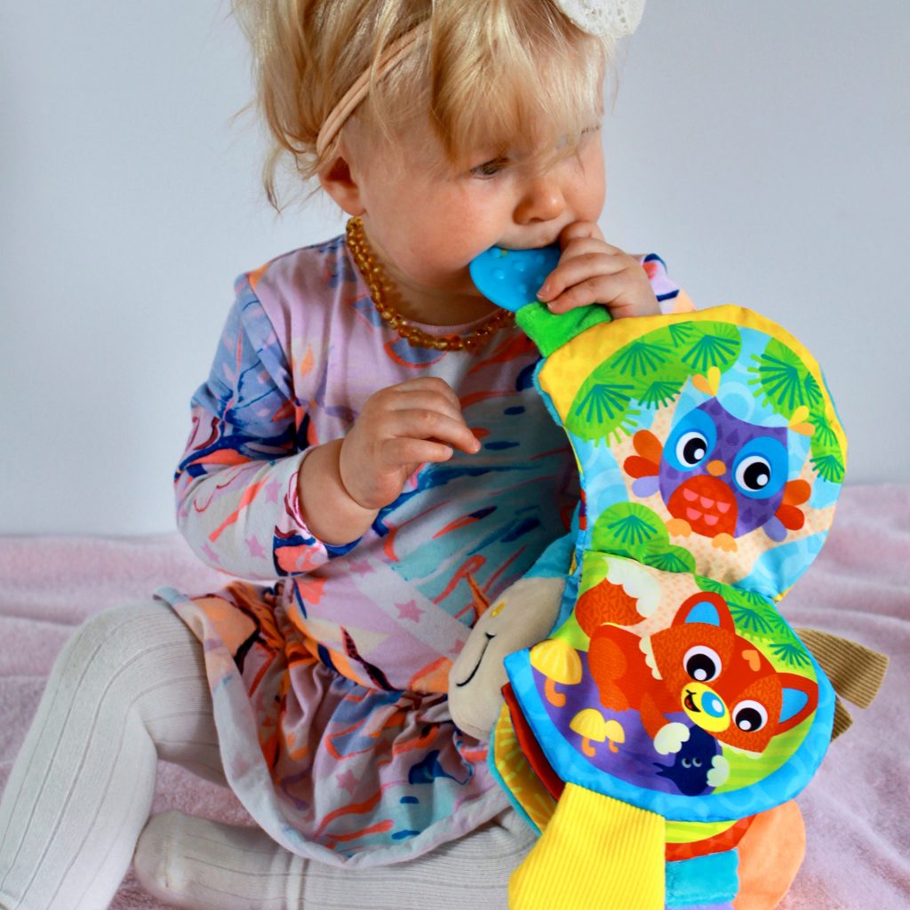 Musical Clip Clop Teether Book – Playgro International