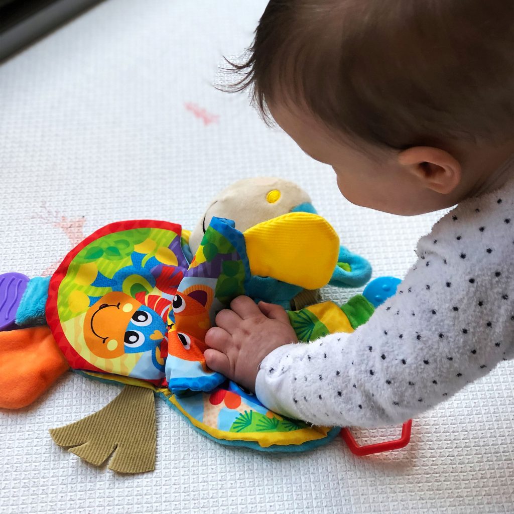 Musical Clip Clop Teether Book – Playgro International